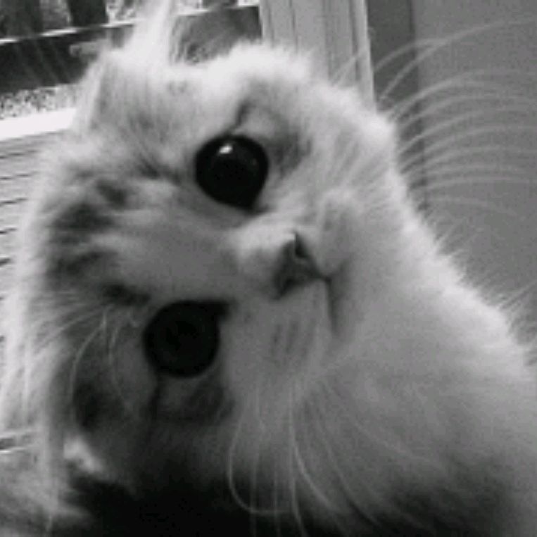 Иконка канала Karolina 555