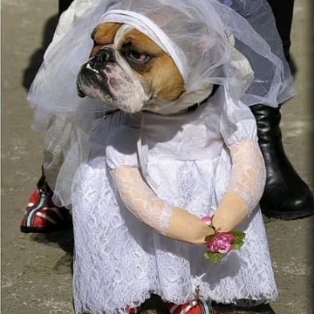 Иконка канала MaryPopins2000