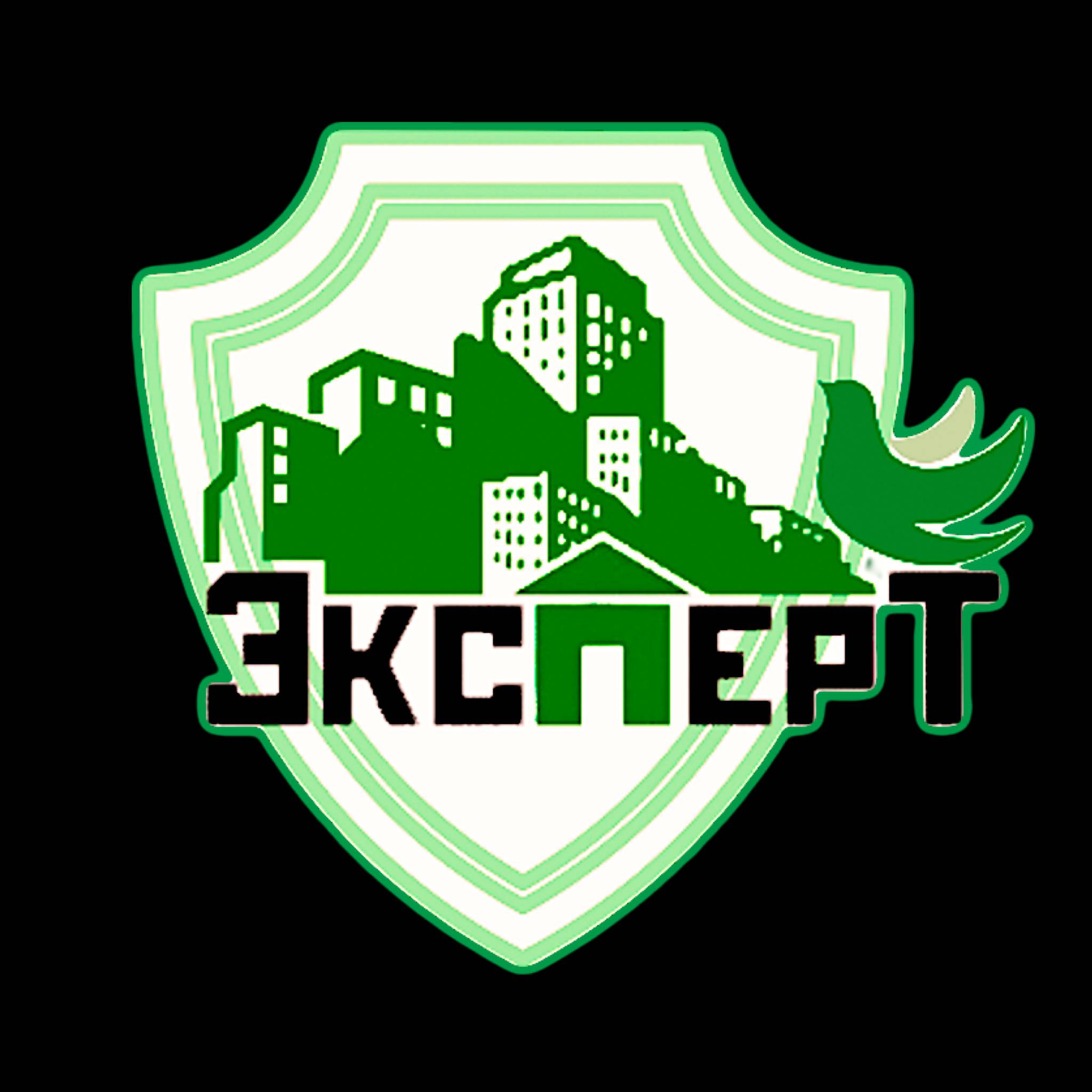 Иконка канала Эксперт | Недвижимость | Санкт-Петербург