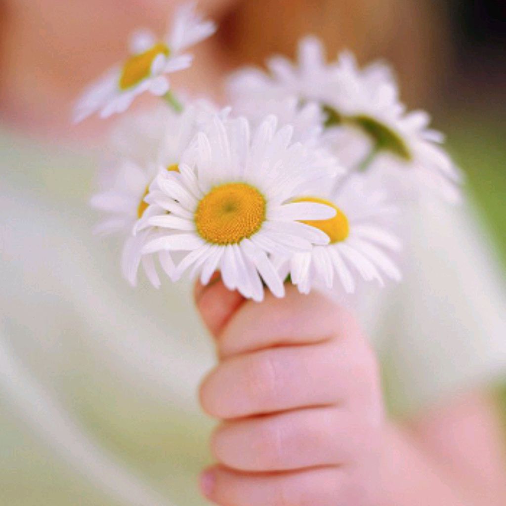 Иконка канала Дача в Ромашково