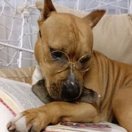 Иконка канала Ёжкин кот / Мини Ферма