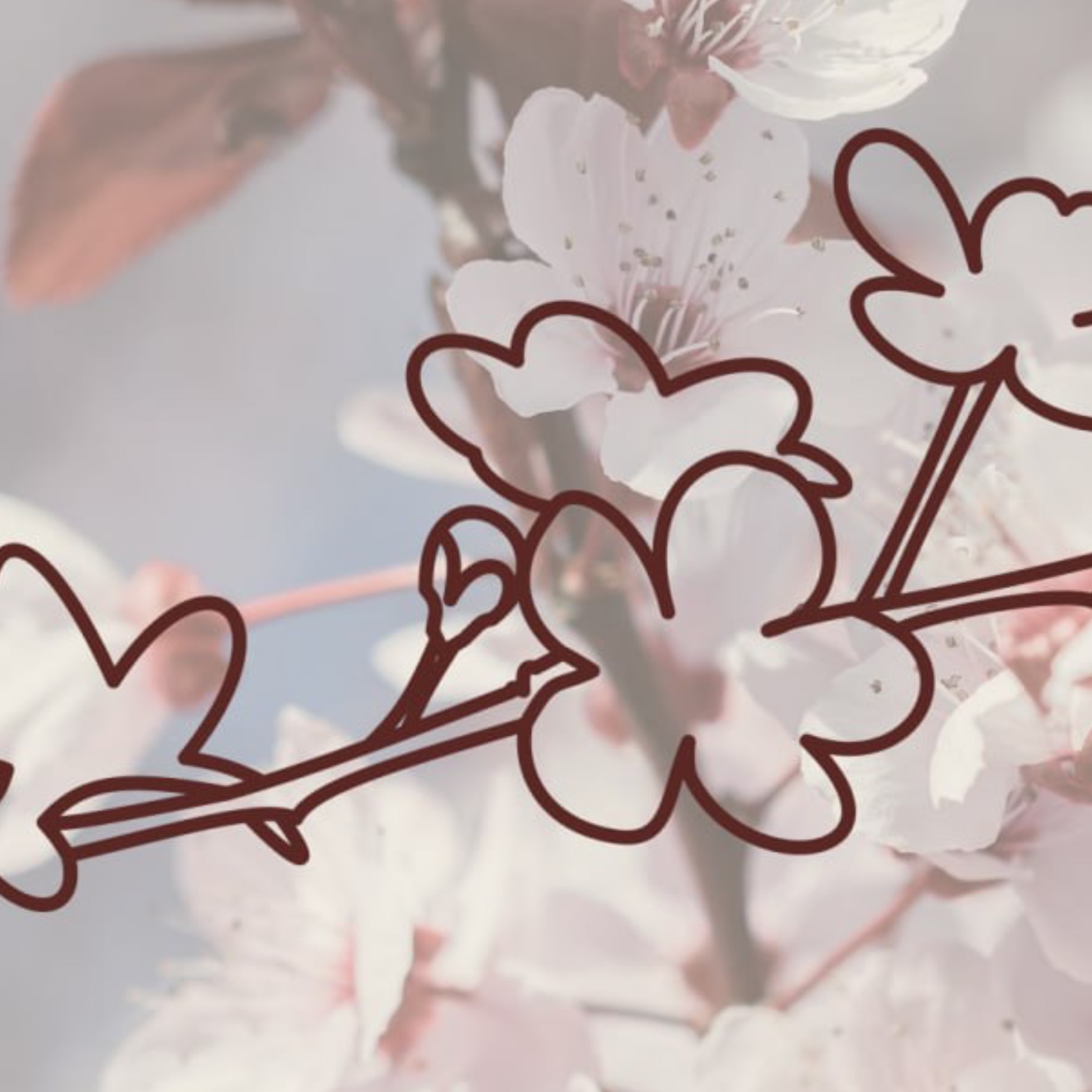 Иконка канала Азиатские обзоры