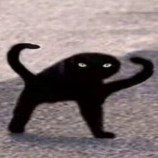 Иконка канала best_of_game