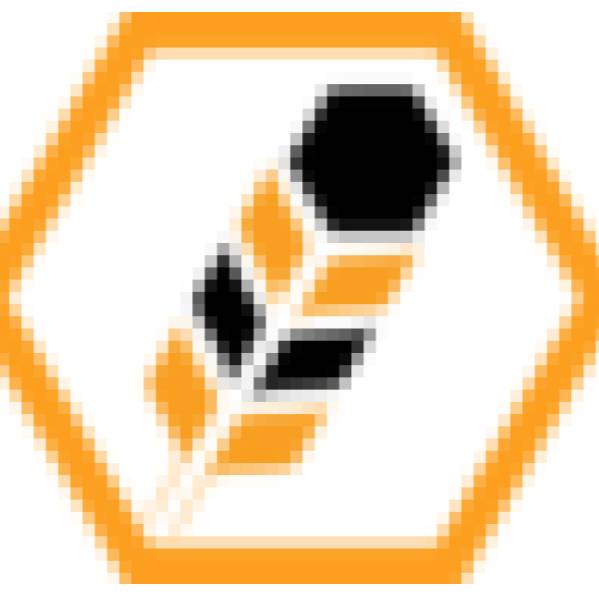 Иконка канала Bee group