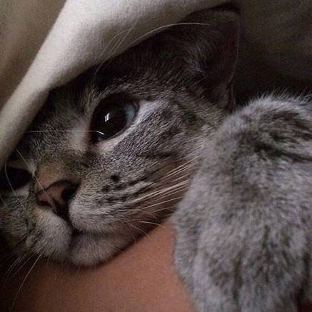 Иконка канала Михаил18021981