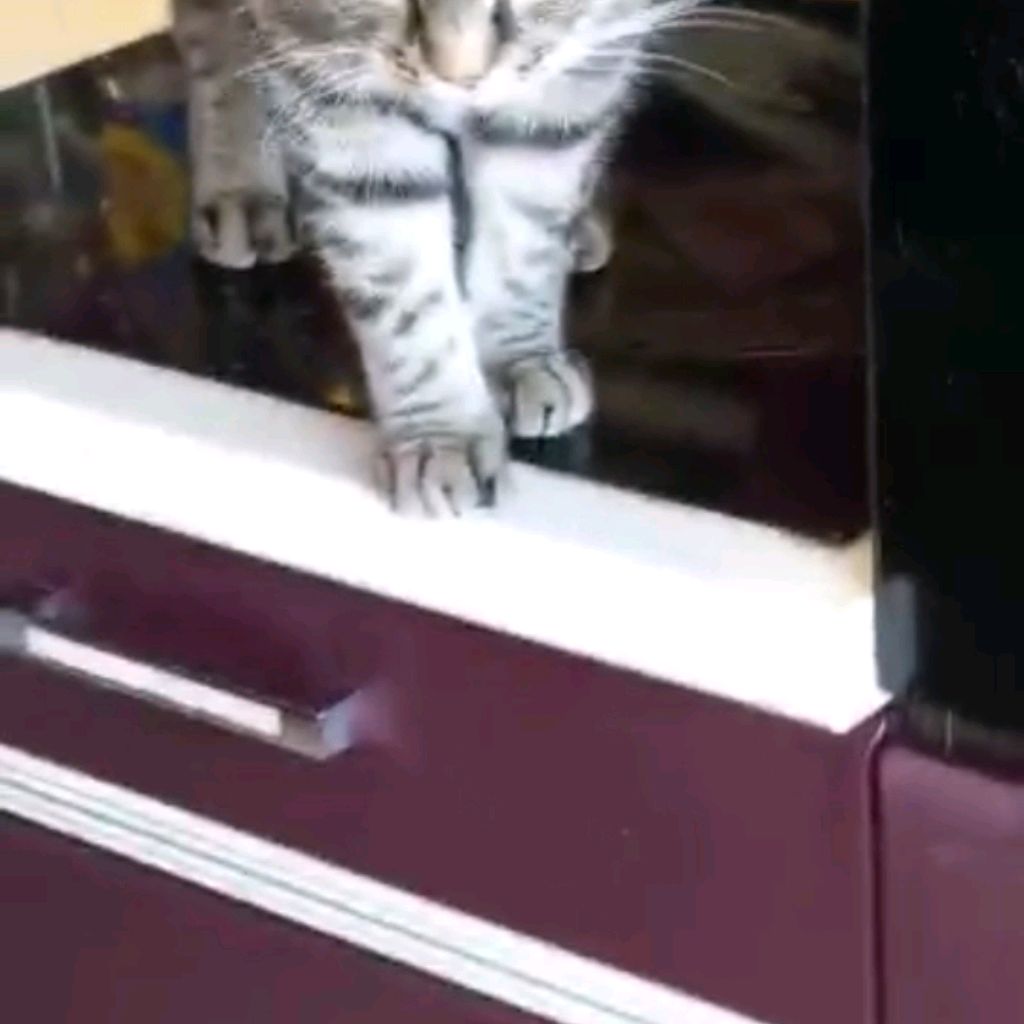 Иконка канала Антушев Алексей