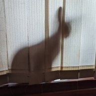 Иконка канала Дюк и Маки