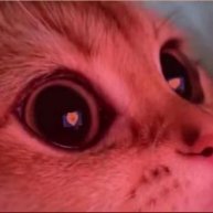 Иконка канала horoshl