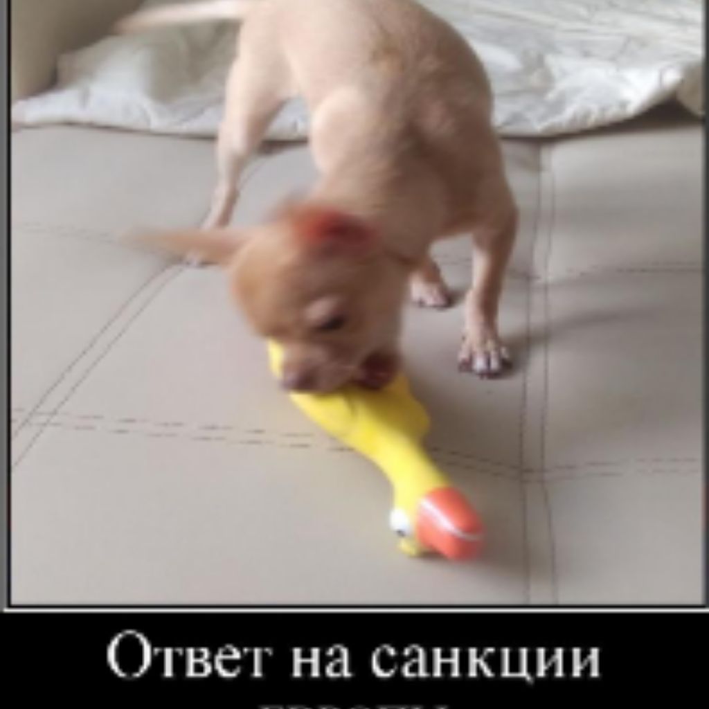 Иконка канала STEFANUSHA