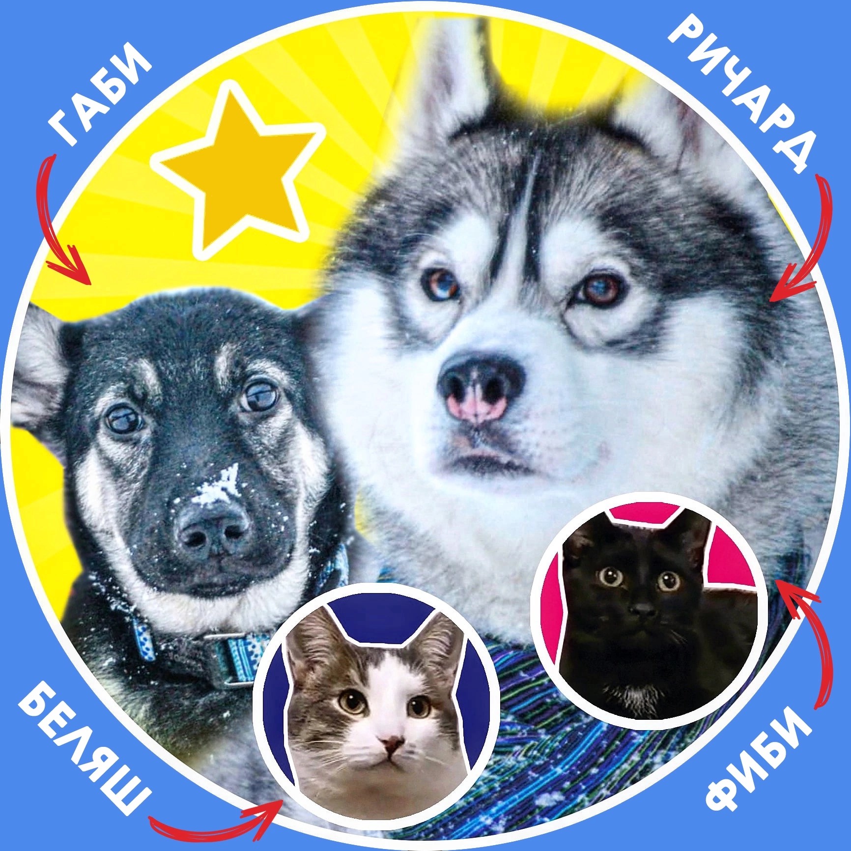 Иконка канала Хаски Ричард и его стая