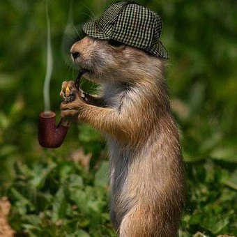 Иконка канала Домик на окраине. Дела табачные и не только.