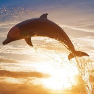 Иконка канала Счастливая_Душа