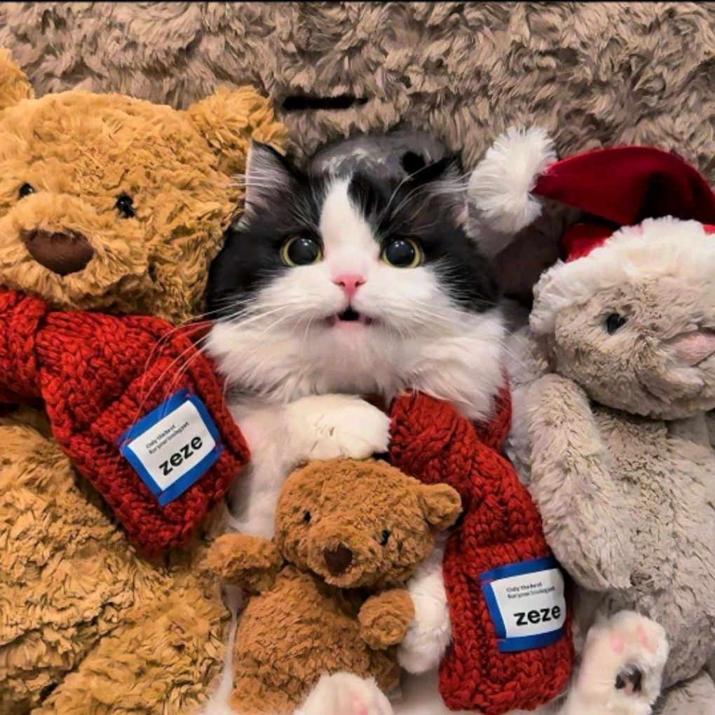 Иконка канала Котяра 😻