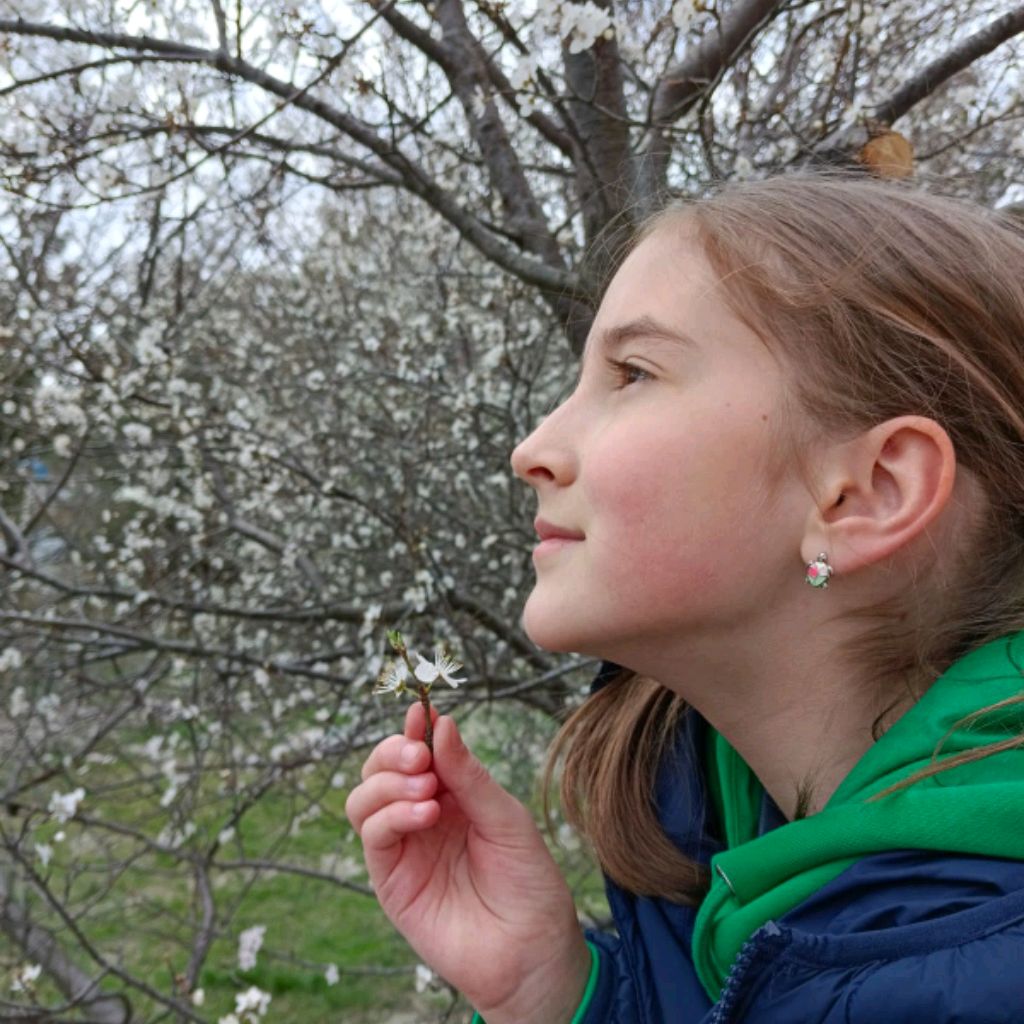 Иконка канала Моя ПриРода