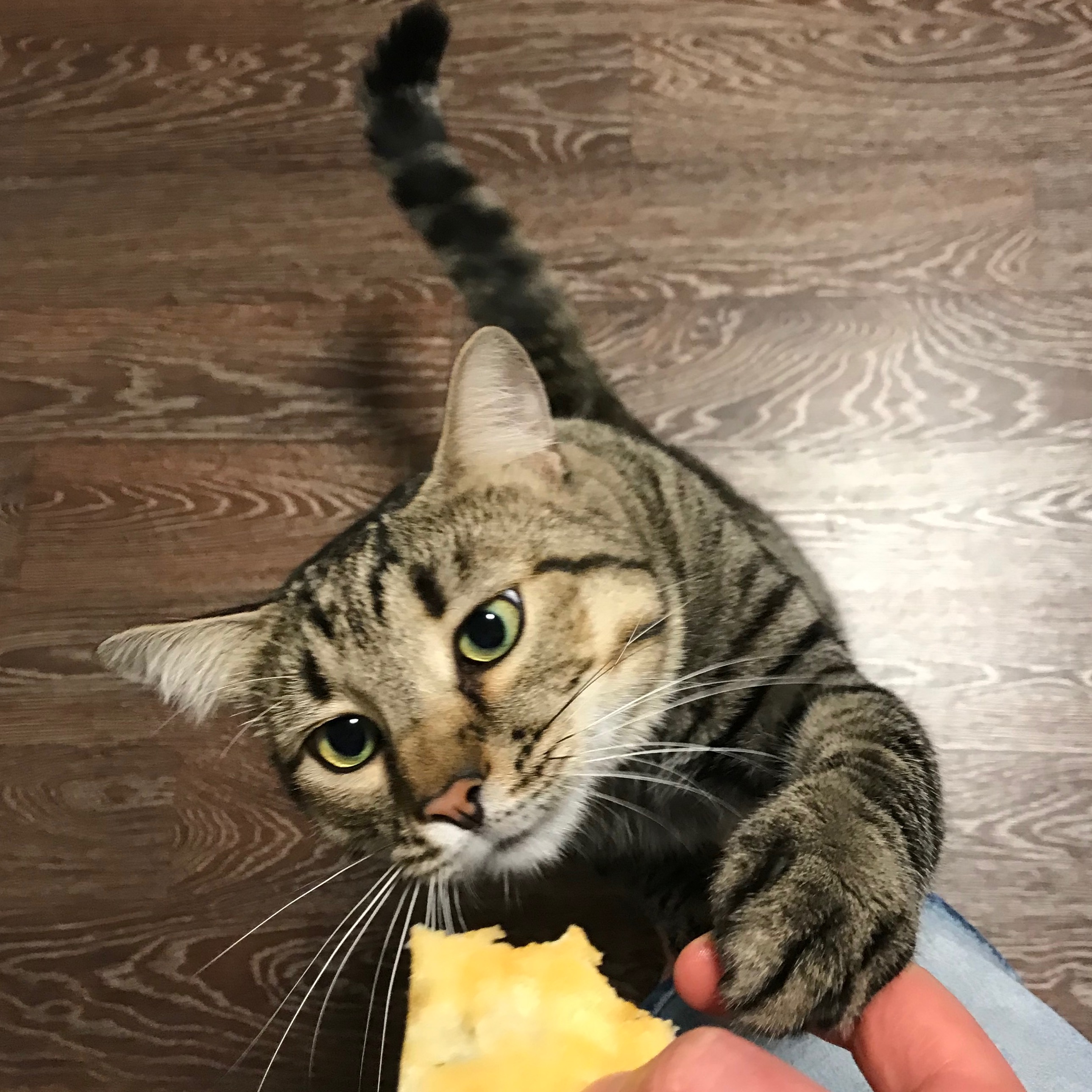 Иконка канала Sadfman