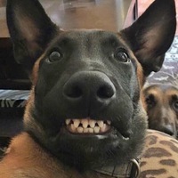 Иконка канала Артём Мжачев