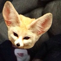 Иконка канала Oops[C]