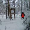 Иконка канала В зоне южной тайги