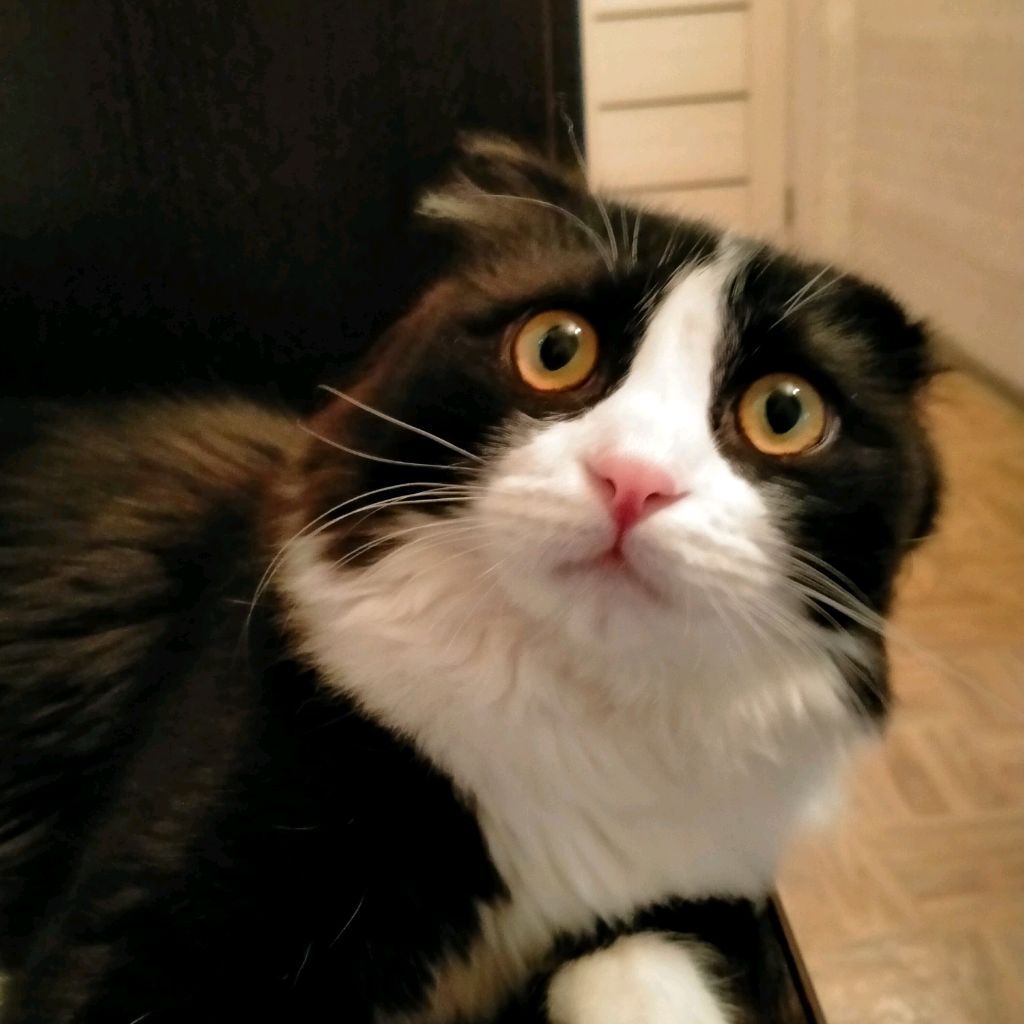 Иконка канала Просто и вкусно!!!