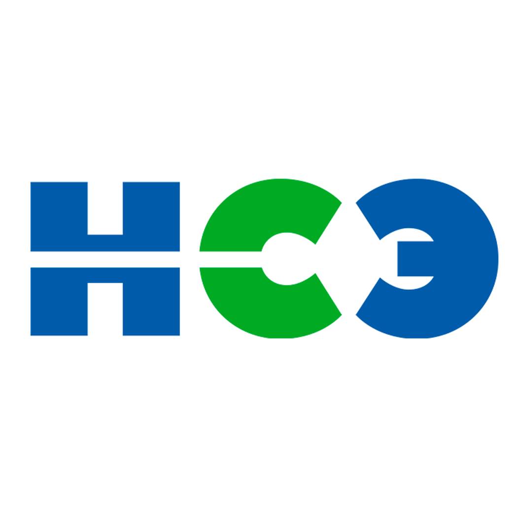 Иконка канала nse-online.com