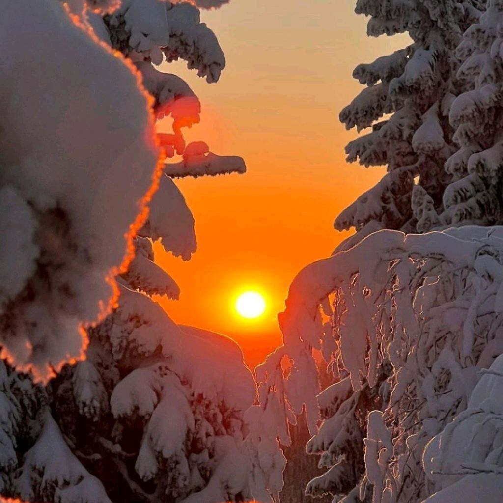 Иконка канала Maybe