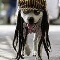 Иконка канала Le relayeur - Artémisia Collège