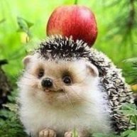 Иконка канала Домашние рецепты от Елены