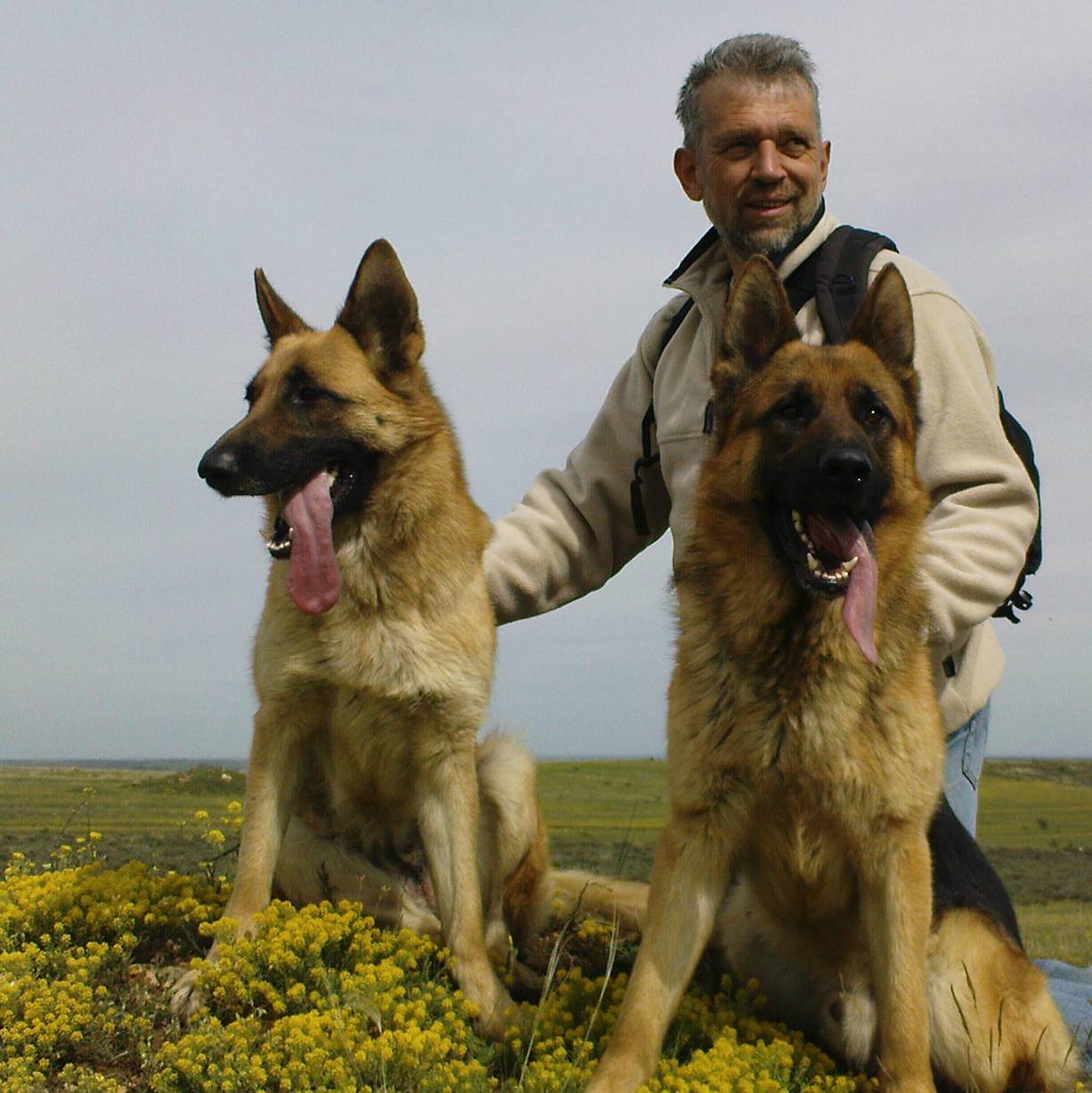 Иконка канала Крымские бескружные высоколетные голуби А.Убейконь