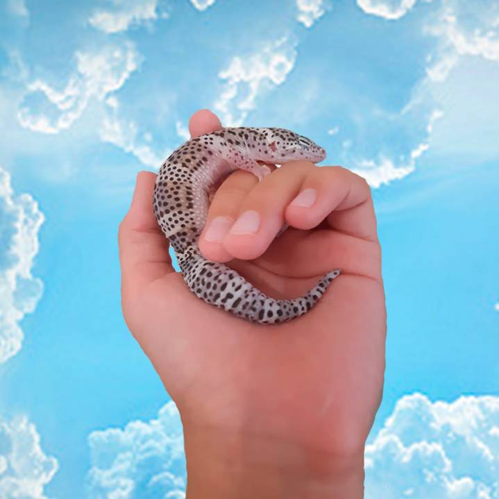 Иконка канала Агуша I love🤟