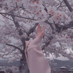 Иконка канала Катя TV