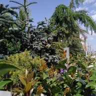 Иконка канала гармония_47