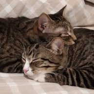 Иконка канала Юлия Золотова