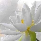 Иконка канала Суть