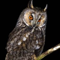 Иконка канала НЕ ПОЛЕ ПЕРЕЙТИ