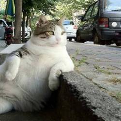 Иконка канала АртемМ