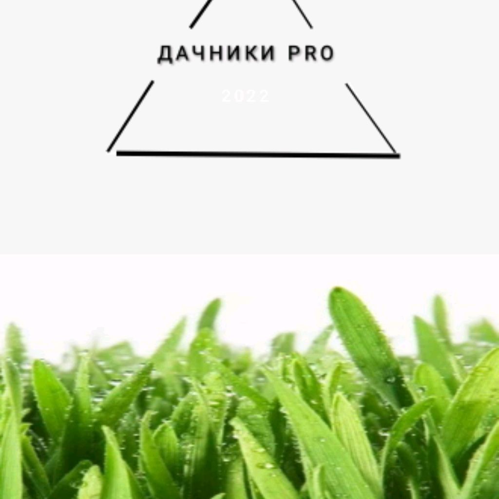 Иконка канала ДАЧНИКИ PRO