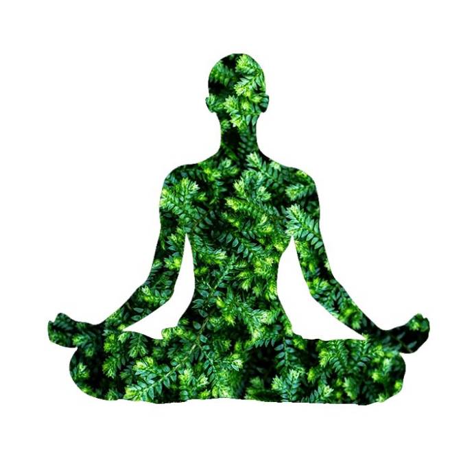 Иконка канала РАССЛАБЛЯЮЩАЯ МУЗЫКА МЕЧТЫ