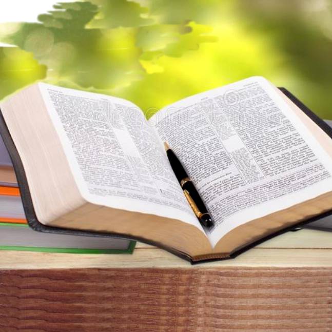 Иконка канала Вектор надежды