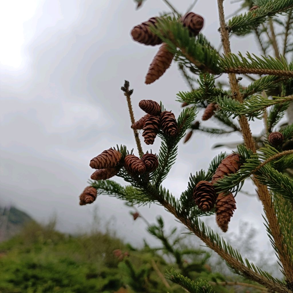 Иконка канала BLVCK