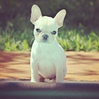 Иконка канала Александр Линёв