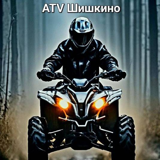 Иконка канала ATV Шишкино