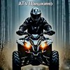 Иконка канала ATV Шишкино