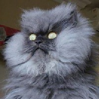 Иконка канала Валерий Еремеев