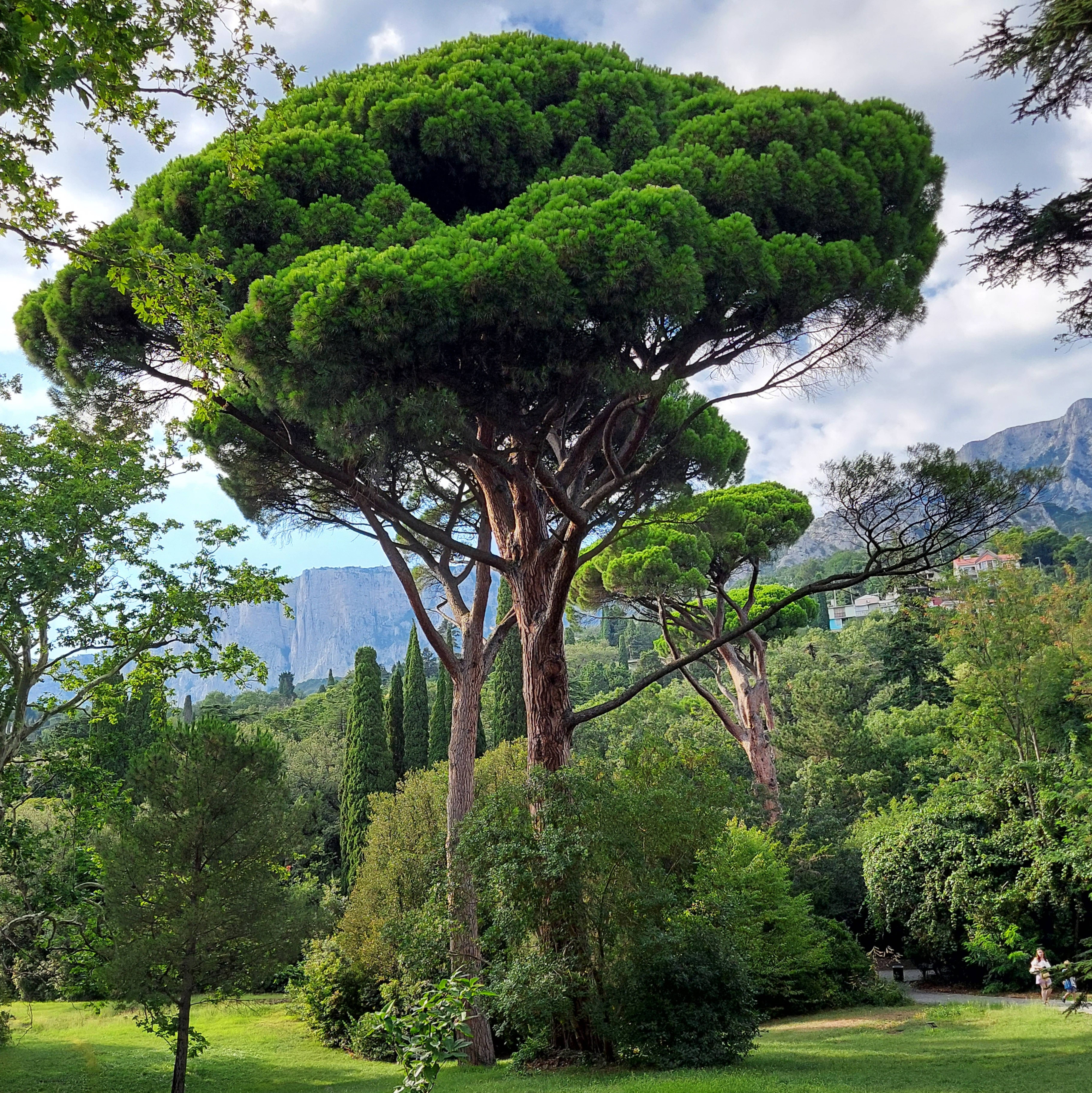 Иконка канала Основы_статистики