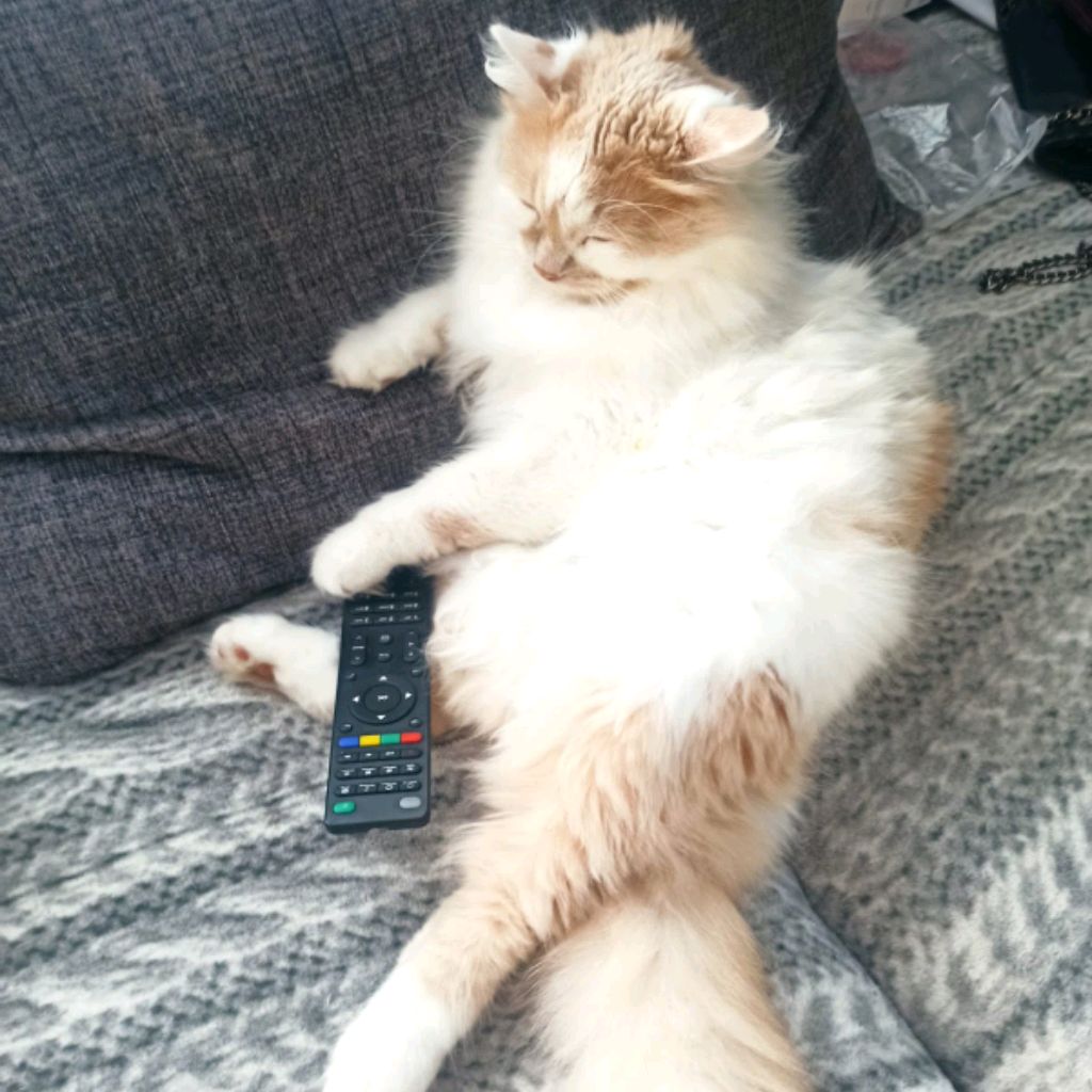 Иконка канала Алиса Games