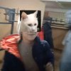 Иконка канала КОТЫ ЮМОРИСТЫ (16, Б)