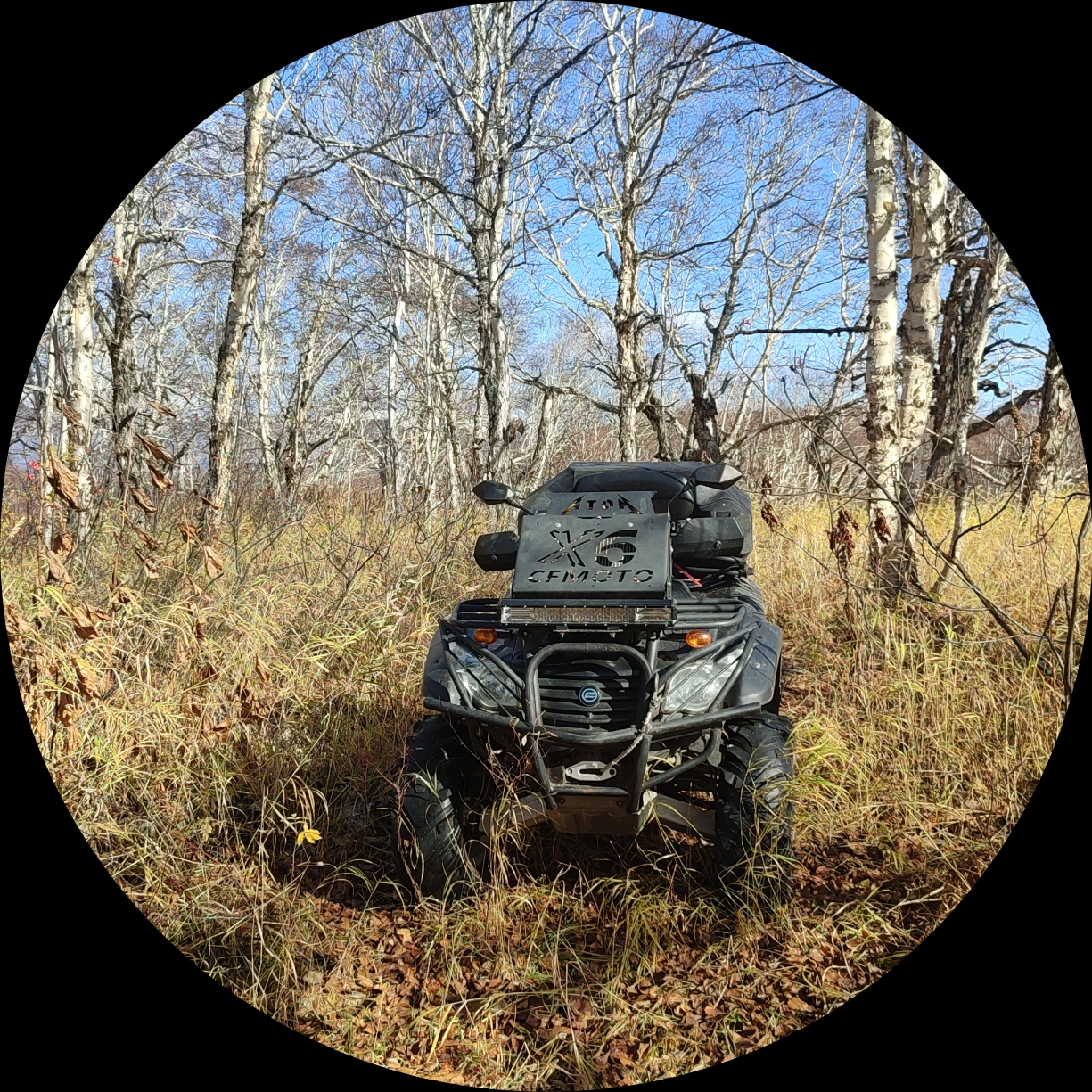 Иконка канала Максим Ткачëв