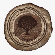 Иконка канала СК "Яхшы Дом"