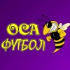 Иконка канала ОСА ФУТБОЛ