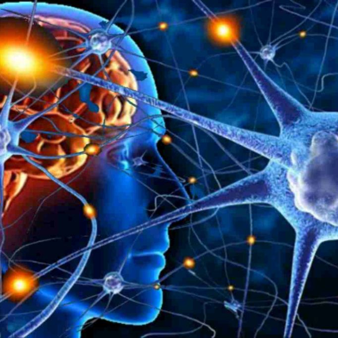 Иконка канала Феномено